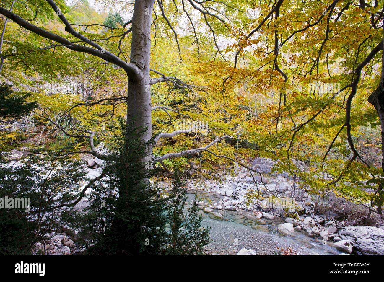 Anso huesca province hi-res stock photography and images - Alamy