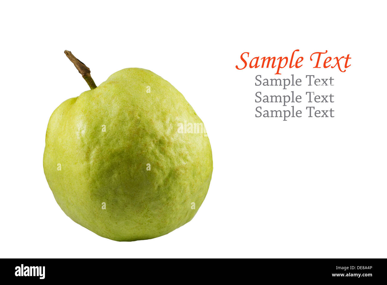 Guava, green fresh fruit isolated on white background Stock Photo - Alamy