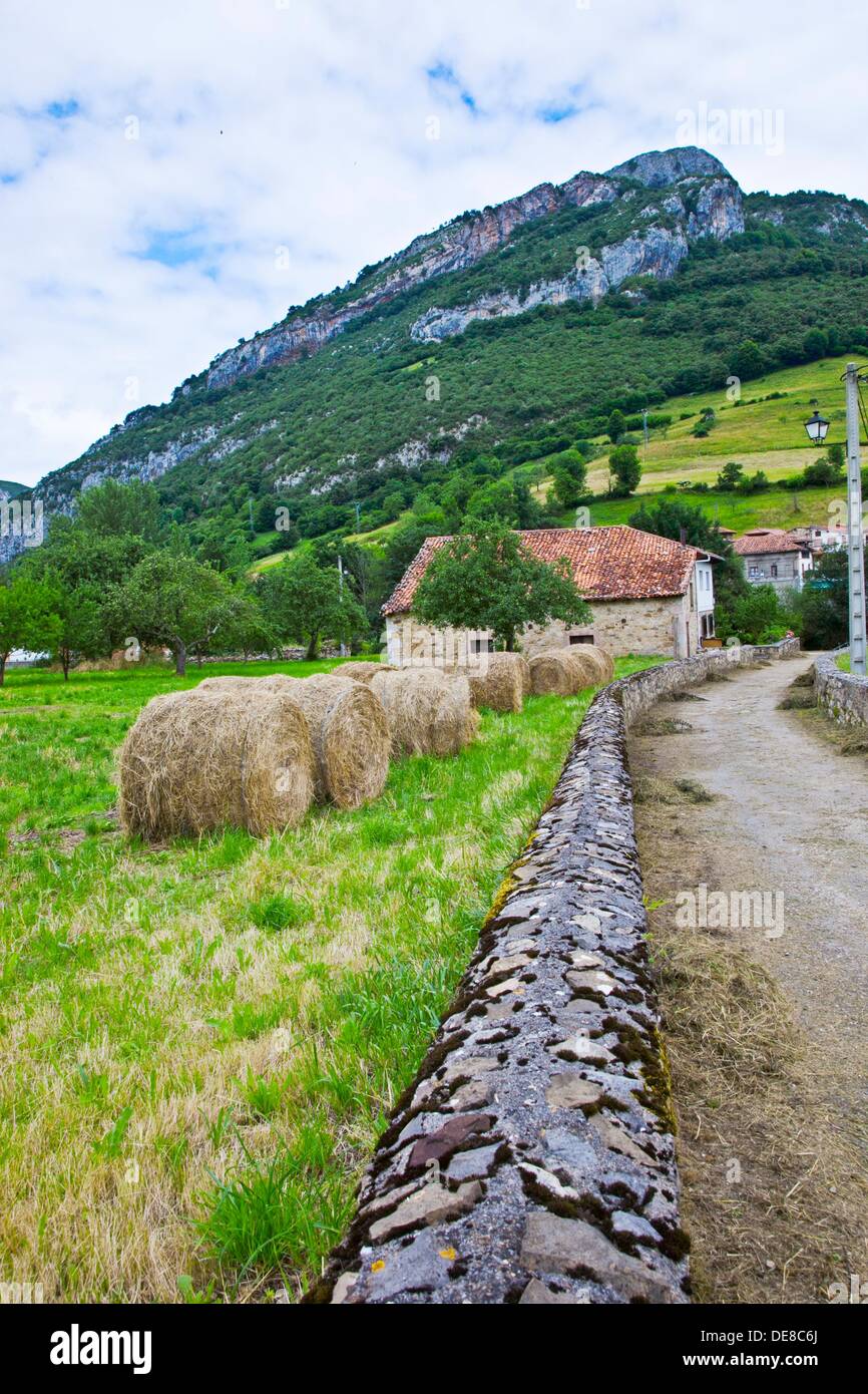 Poo de cabrales hi-res stock photography and images - Alamy