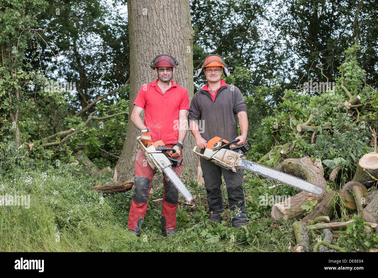 Tree surgeons holding chainsaws in woodlands Stock Photo - Alamy