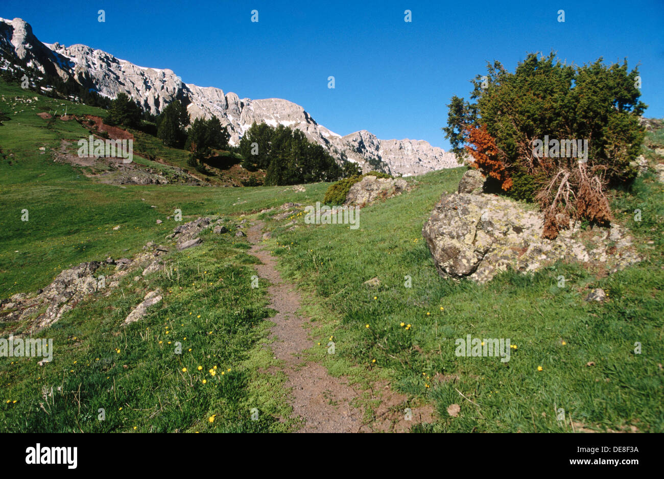 Sierra de moixero hi-res stock photography and images - Alamy