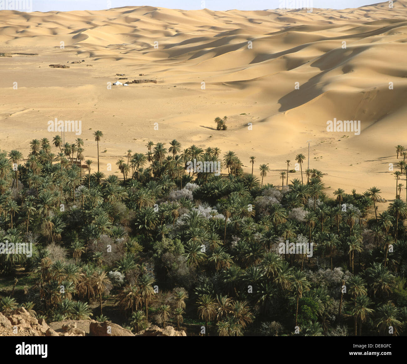 Saoura hi-res stock photography and images - Alamy