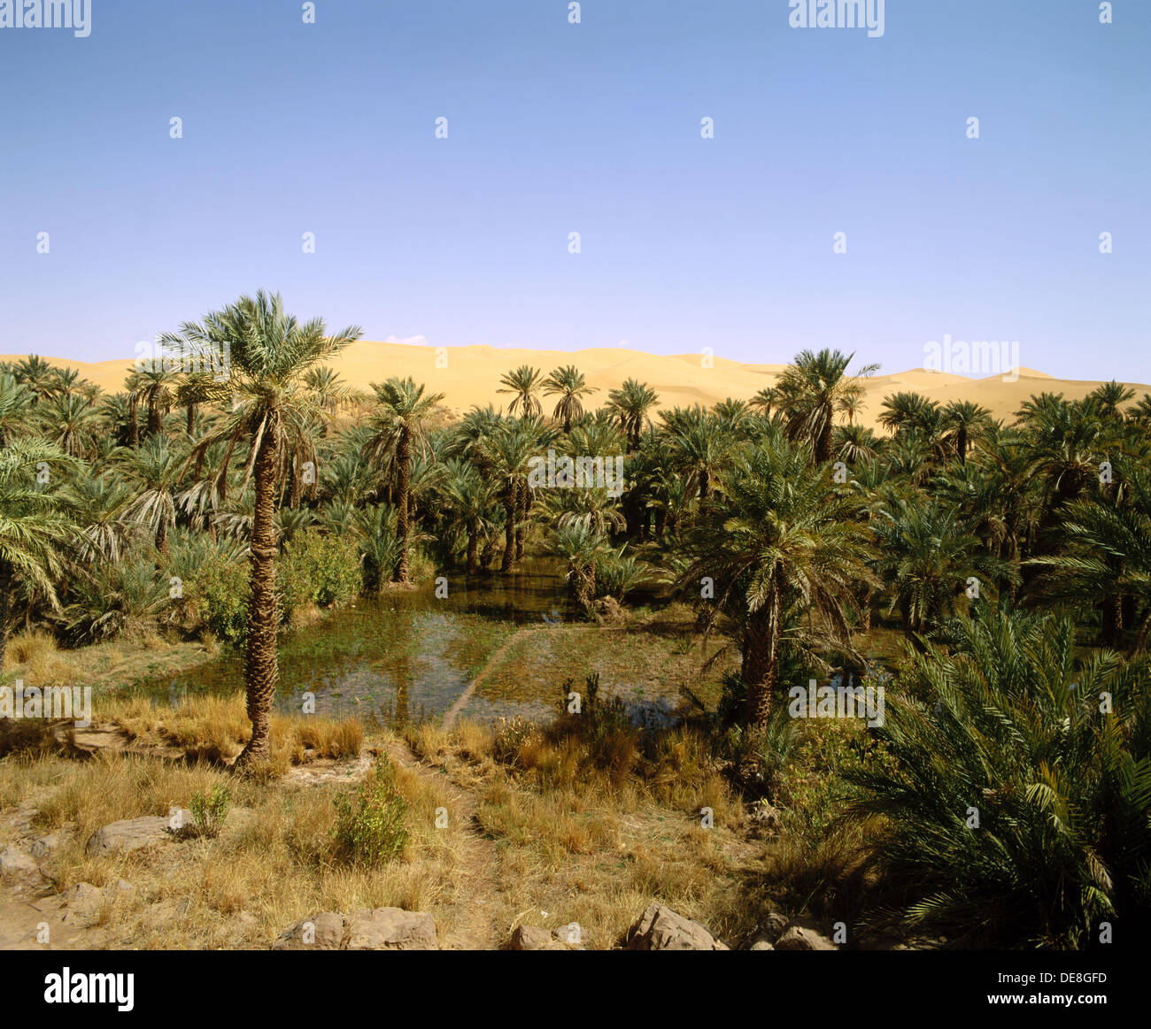 Saoura hi-res stock photography and images - Alamy