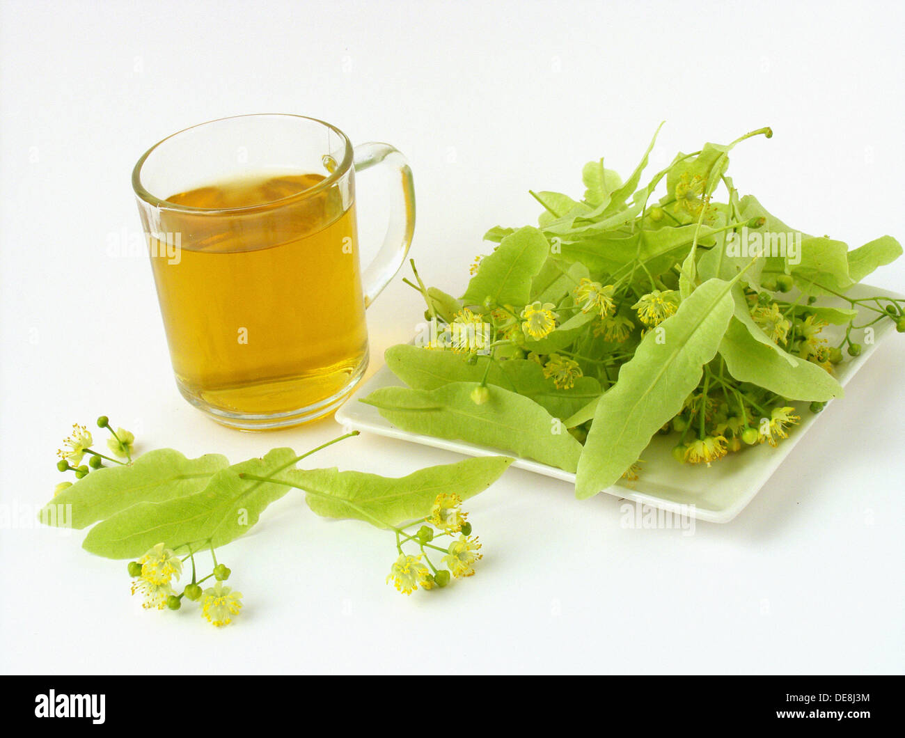 Lime Tree Tea High Resolution Stock Photography and Images - Alamy