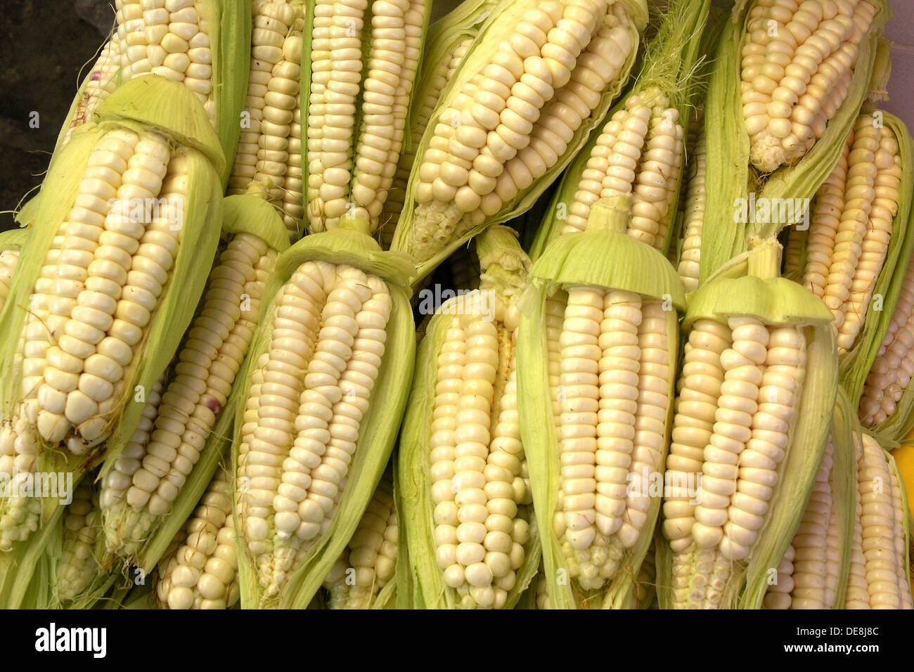 Jesus lima hi-res stock photography and images - Alamy