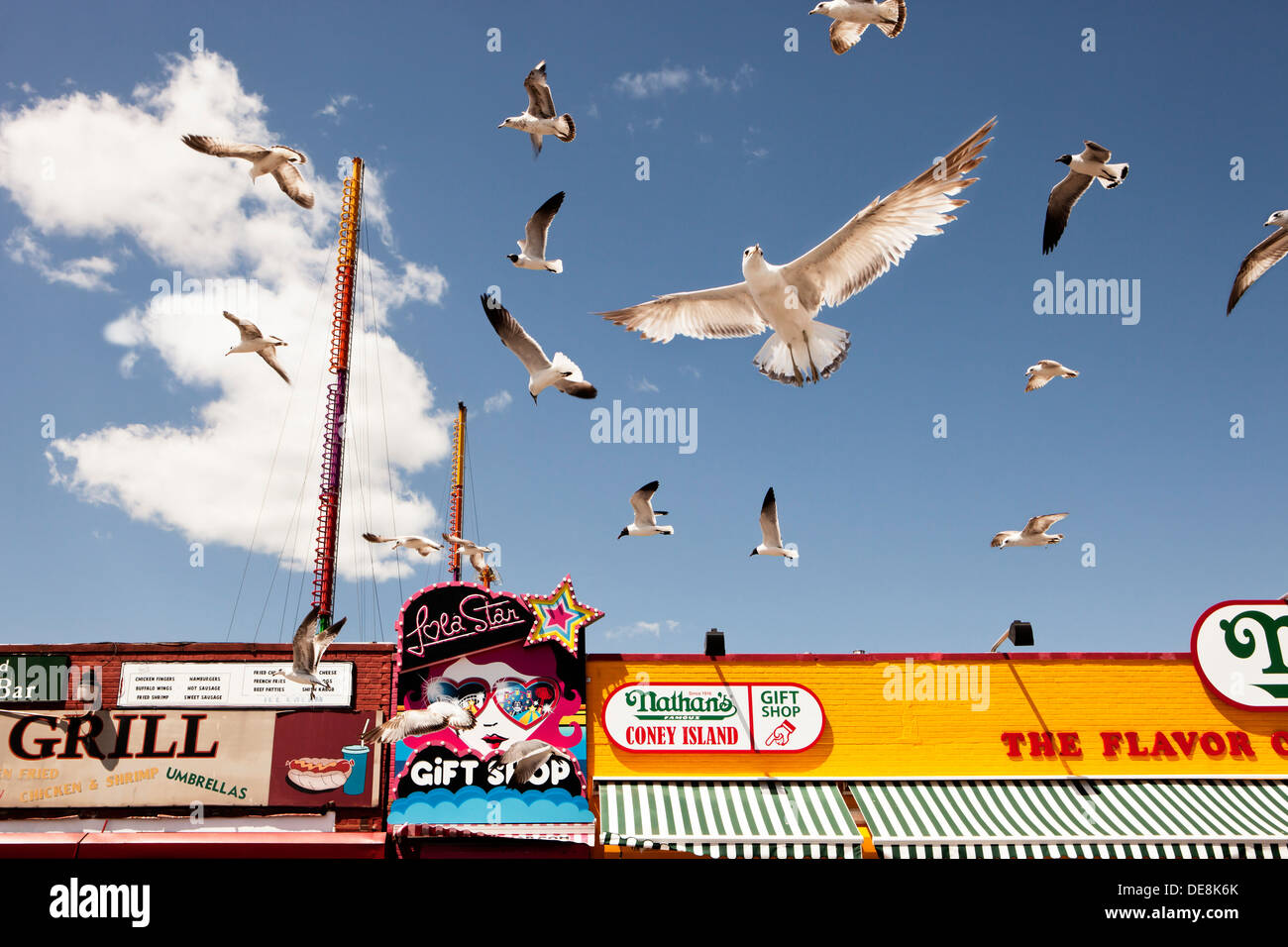 USA, New York,View of birds flying in Coney Island Stock Photo - Alamy