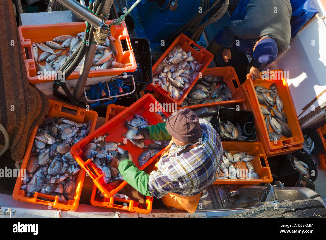 Portugal, Lagos, Fishermen collecting fishes Stock Photo - Alamy