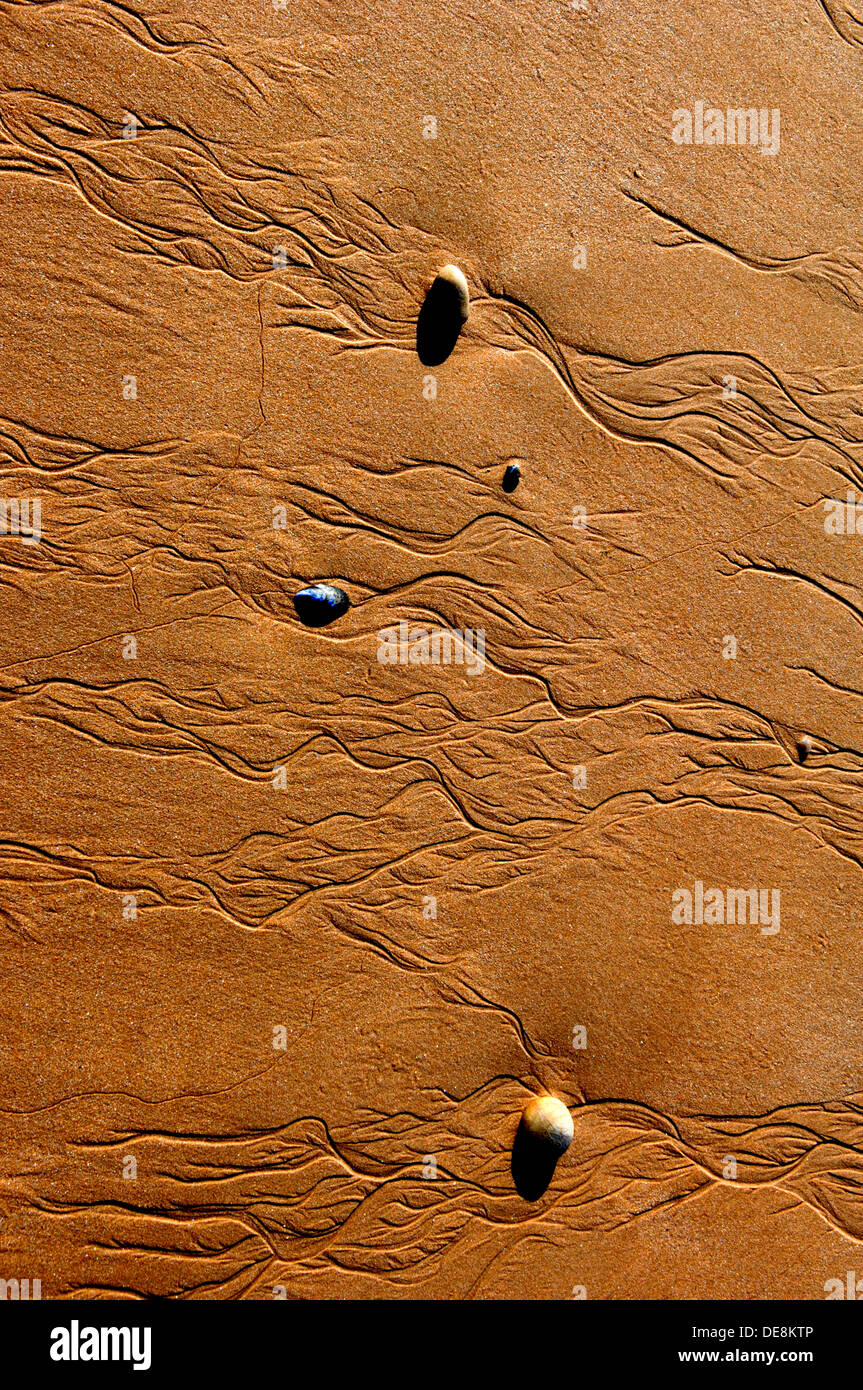 Pebbles on the beach at Sidmouth, Devon Stock Photo - Alamy