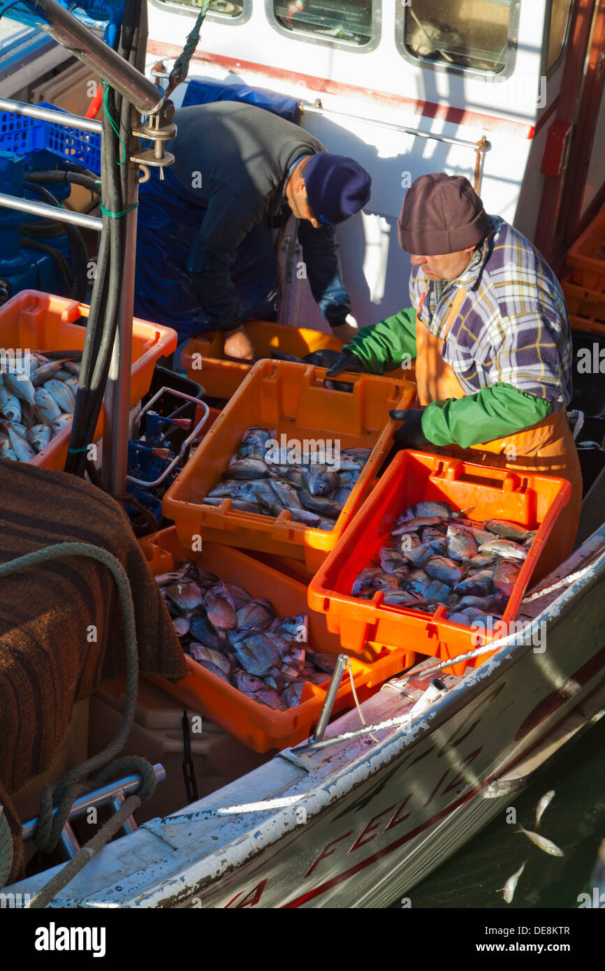 Portugal, Lagos, Fishermen collecting fishes Stock Photo - Alamy