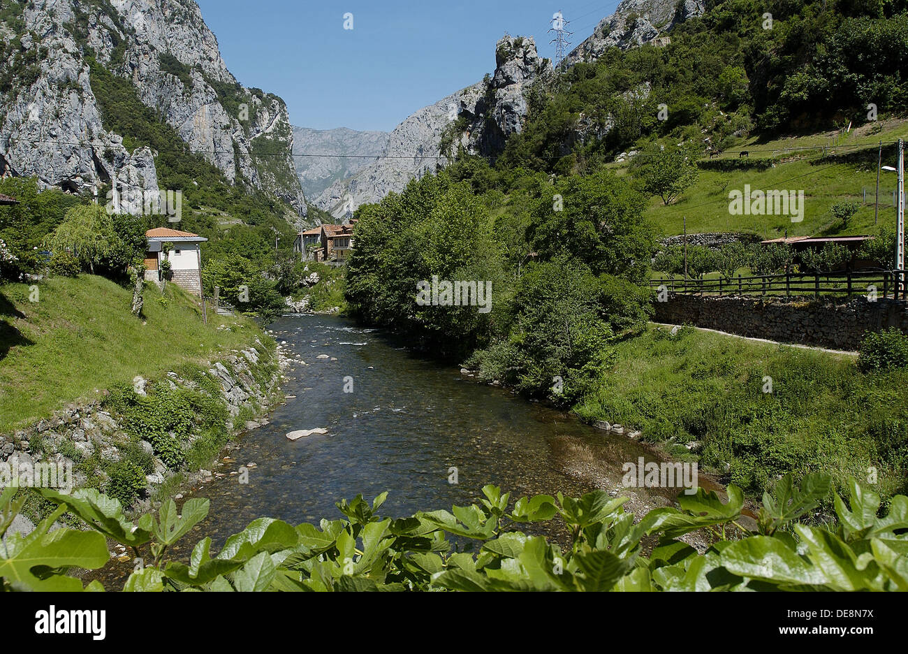 Desfiladero de la hermida hi-res stock photography and images - Alamy