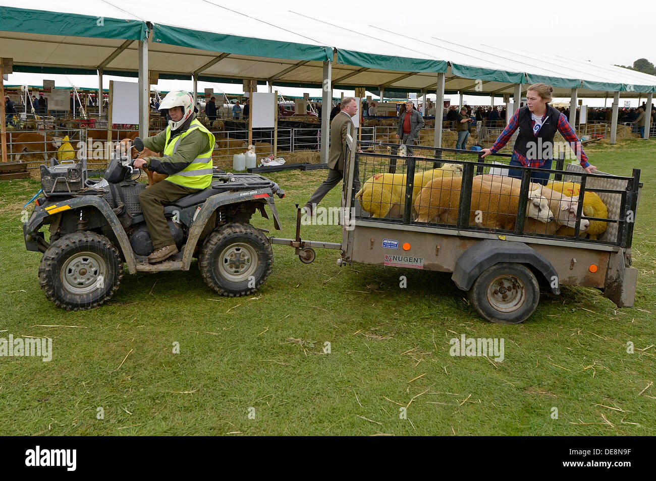 Border union agricultural society hi-res stock photography and images ...