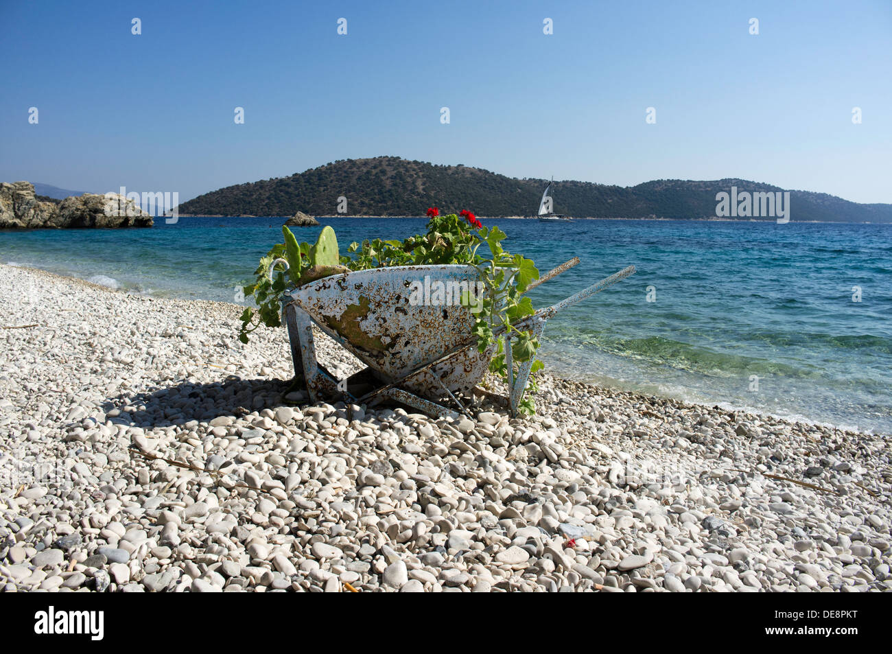 Wheelbarrow used as a simple plant container on Kalamos Town Beach. A ...