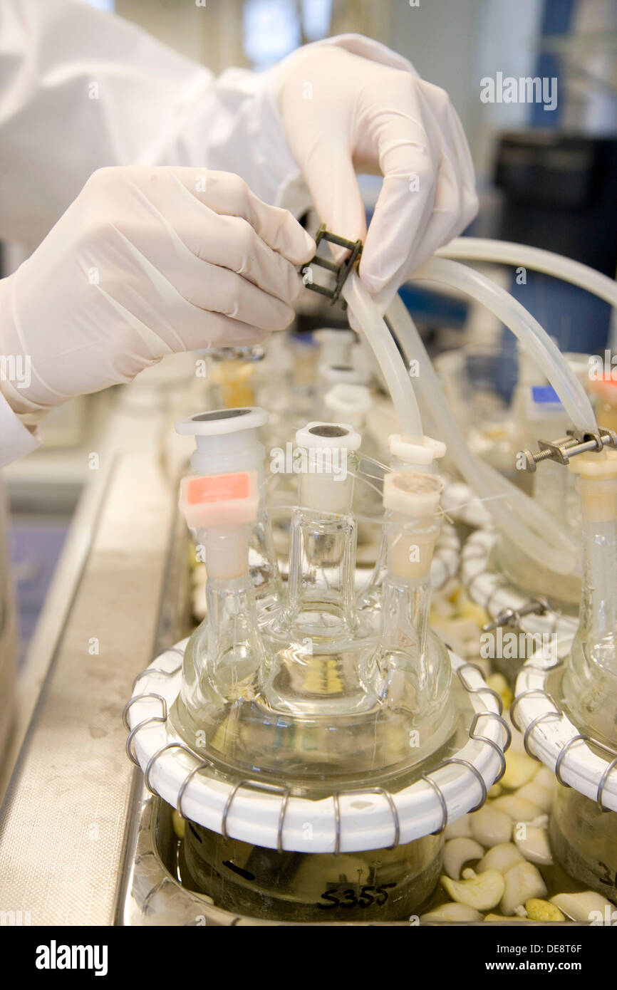 Electrochemical reactor hi-res stock photography and images - Alamy