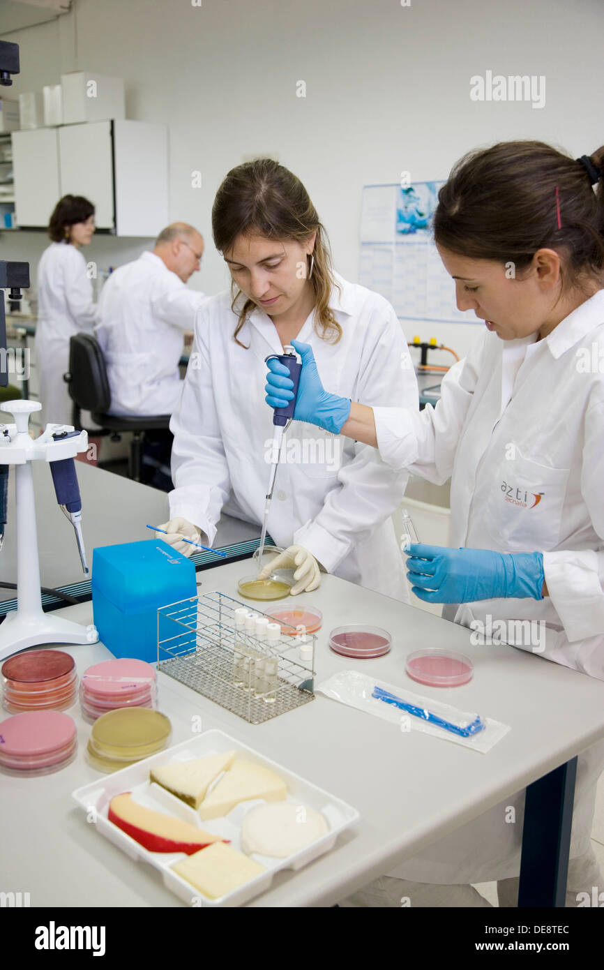 Microbiology laboratory. Microbiological tests of food, cheese. AZTI ...