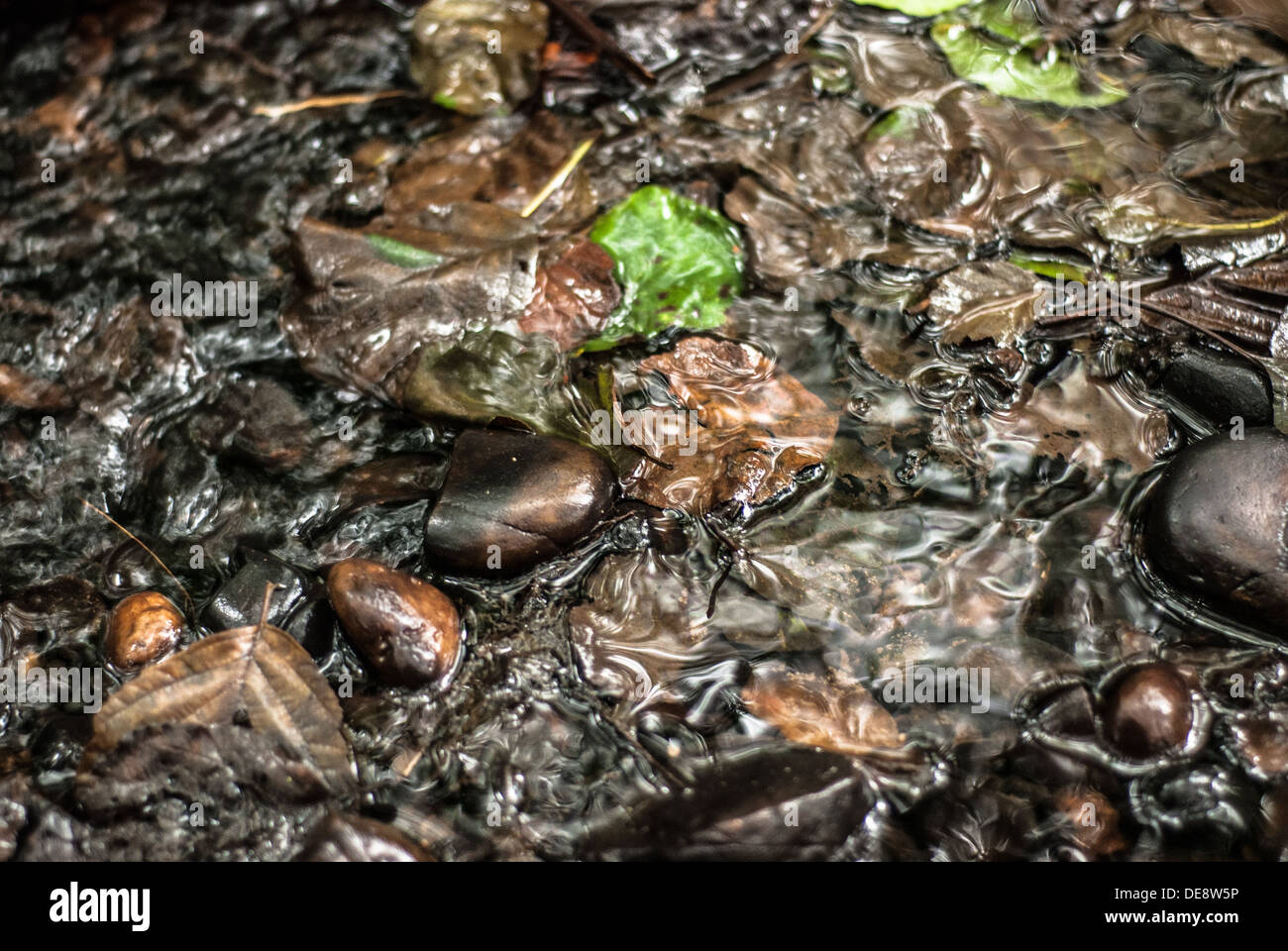 Pebbles and mud hi-res stock photography and images - Alamy