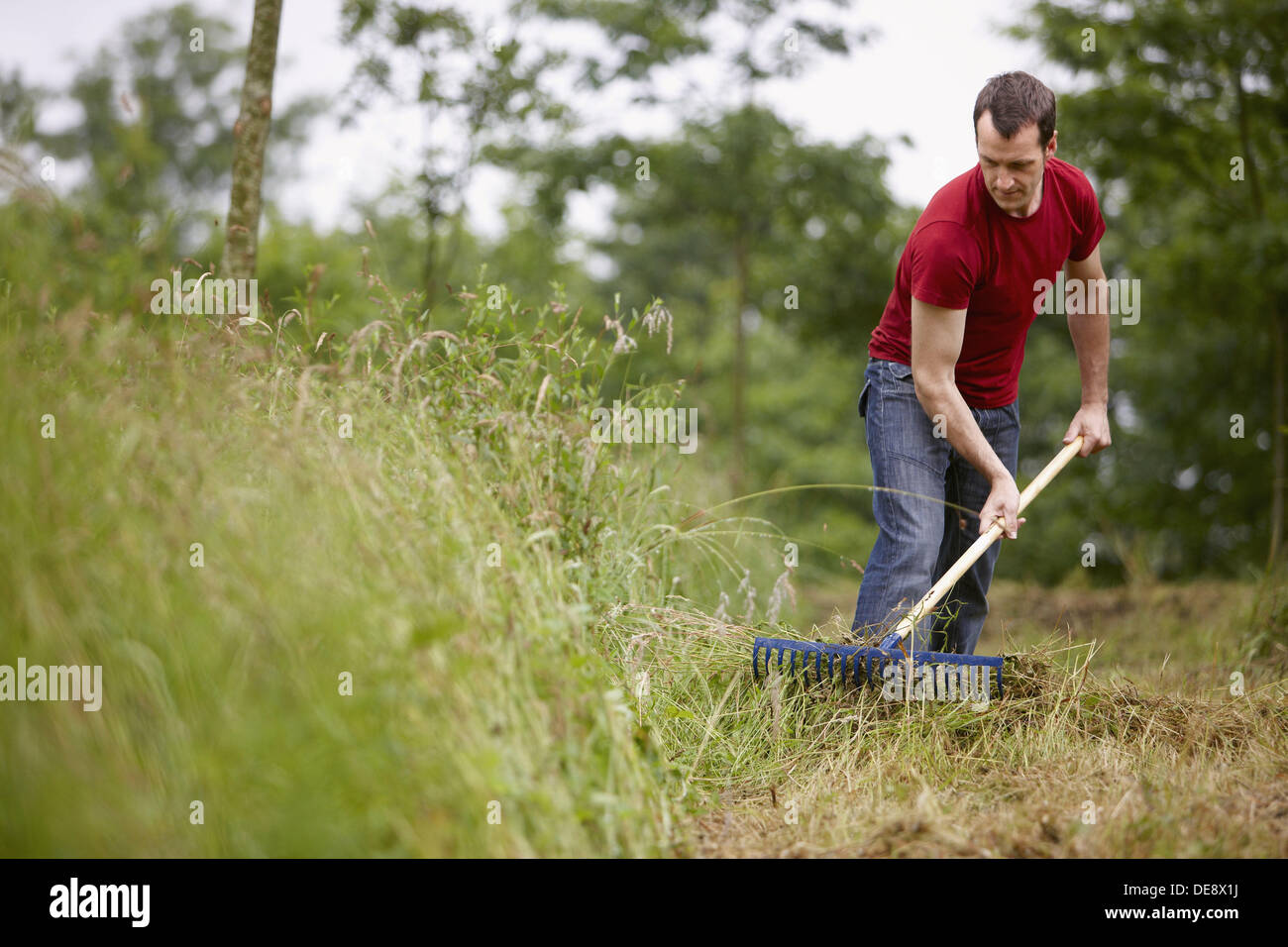 Hand rake hi-res stock photography and images - Alamy