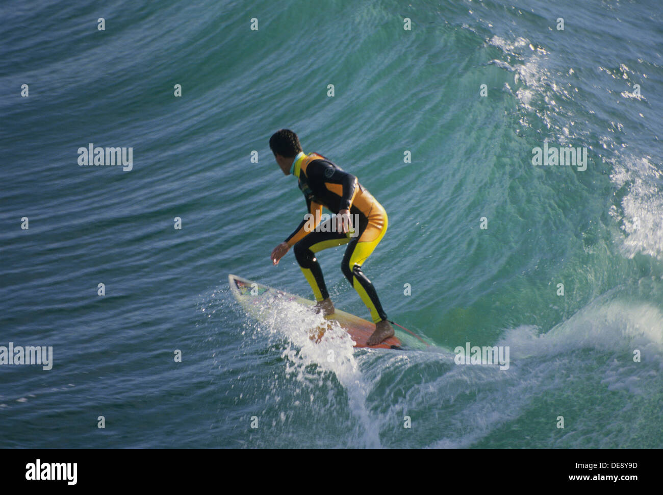Surfing, surfboarder riding wave Stock Photo - Alamy
