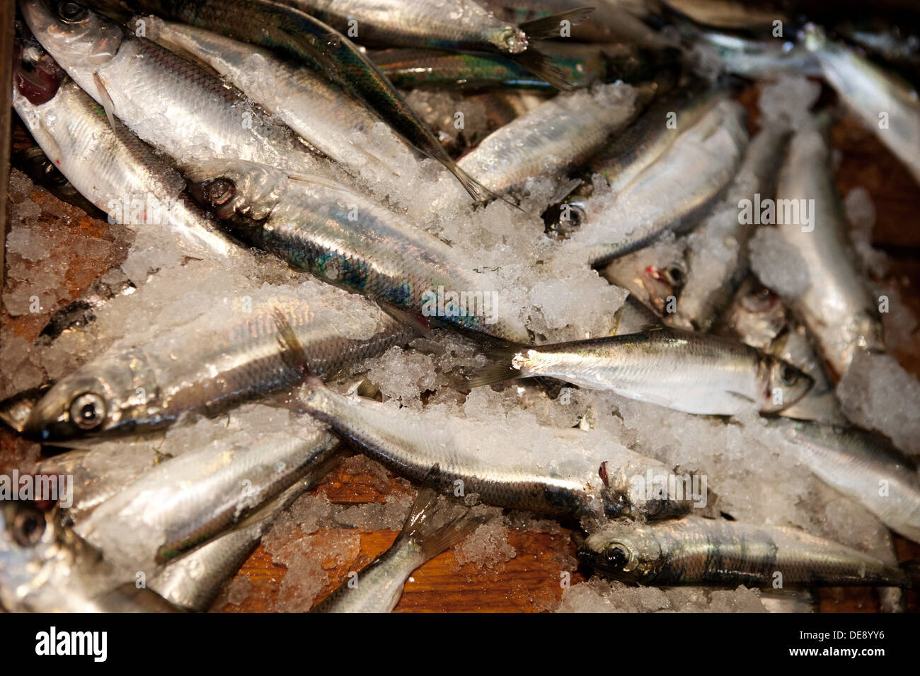 Freshly frozen fish hi-res stock photography and images - Alamy