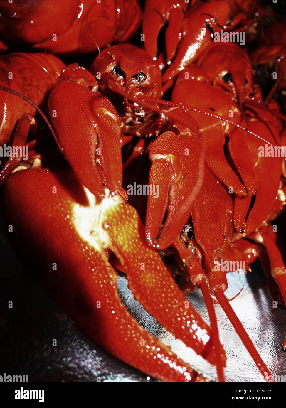 Red color lobster hi-res stock photography and images - Alamy