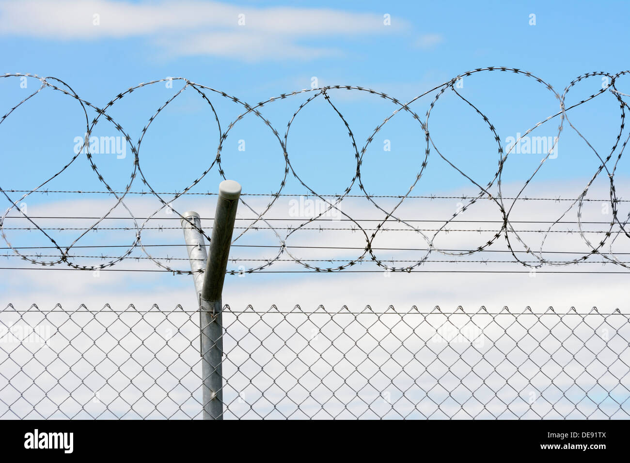 Security with a barbed wire fence Stock Photo - Alamy