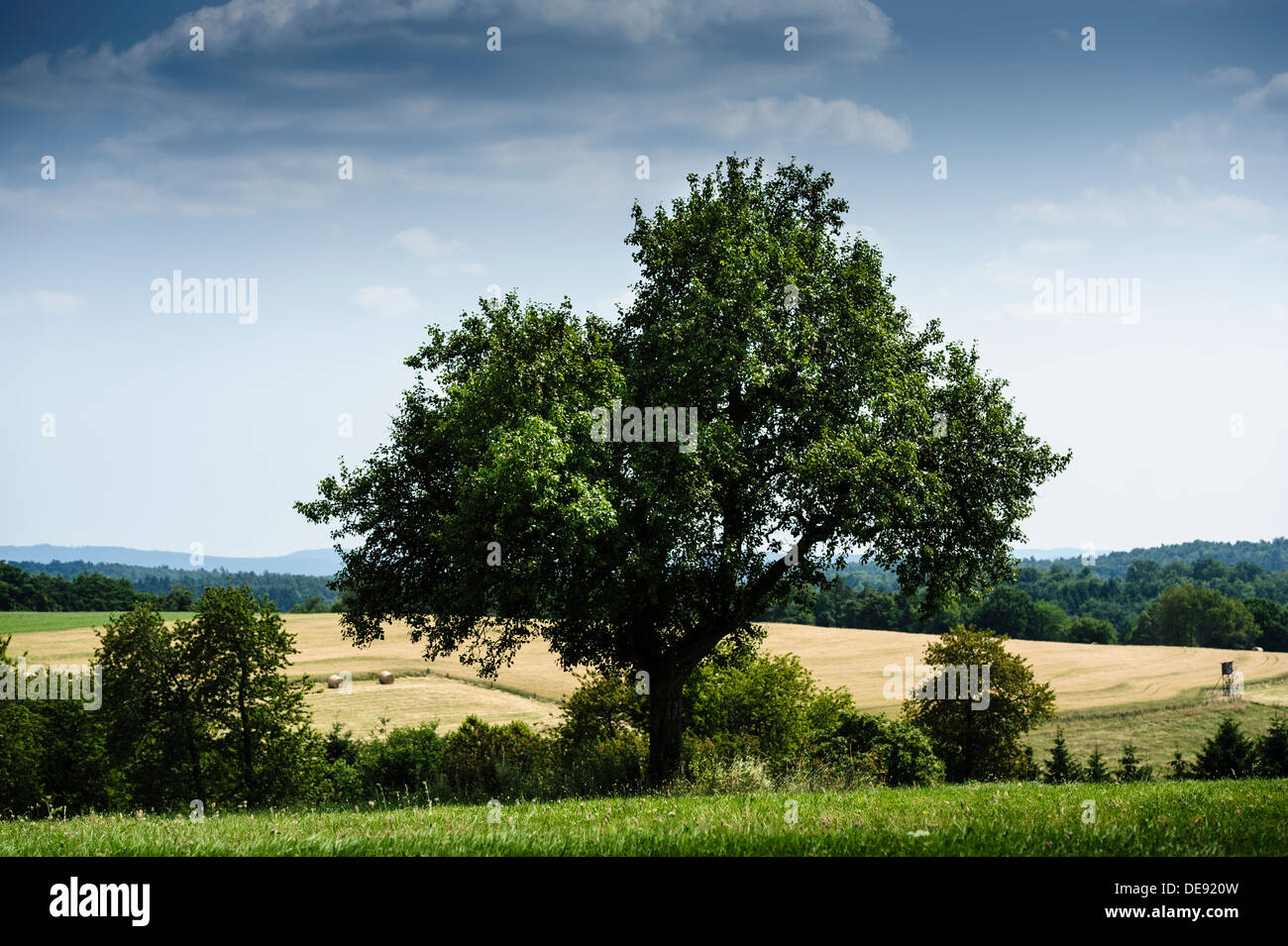 Alsace germany village hi-res stock photography and images - Alamy