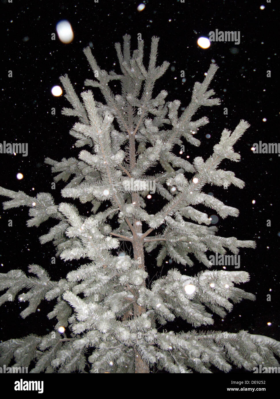 Snow falling night hi-res stock photography and images - Alamy