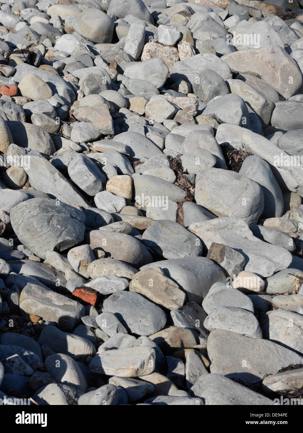 Shell island wales hi-res stock photography and images - Alamy