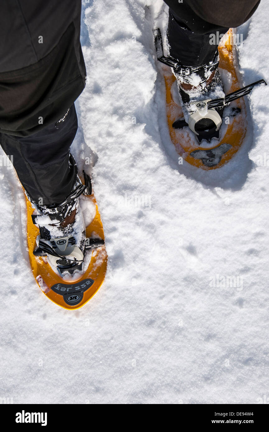 Snowshoes hi-res stock photography and images - Alamy