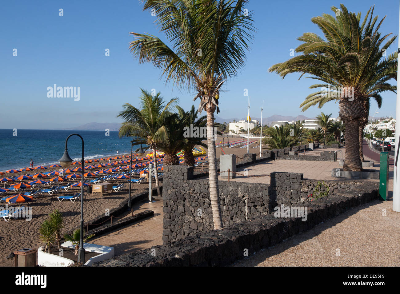 Flora of Lanzarote Stock Photo - Alamy