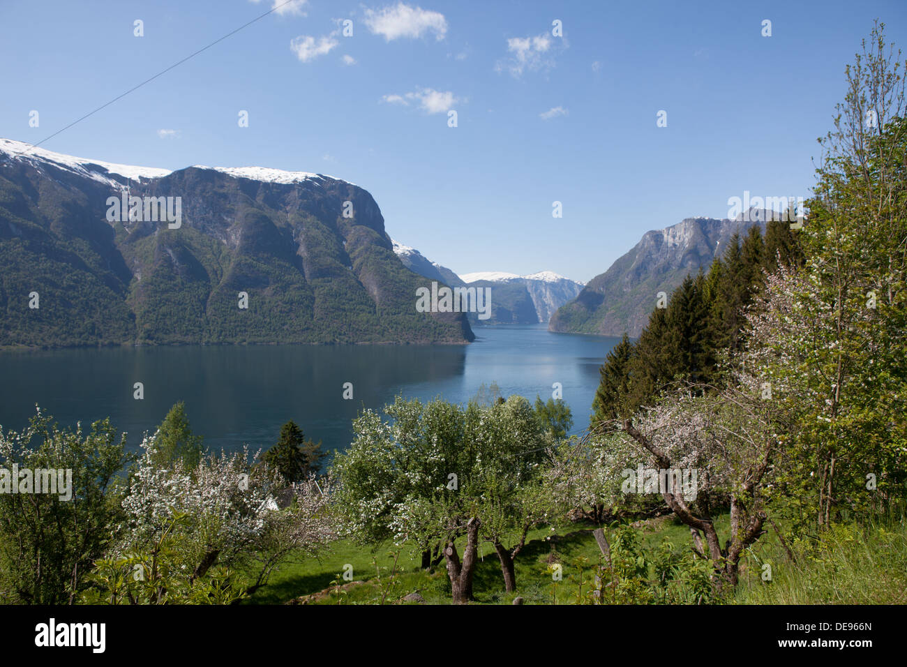 Summer in Norway Stock Photo - Alamy