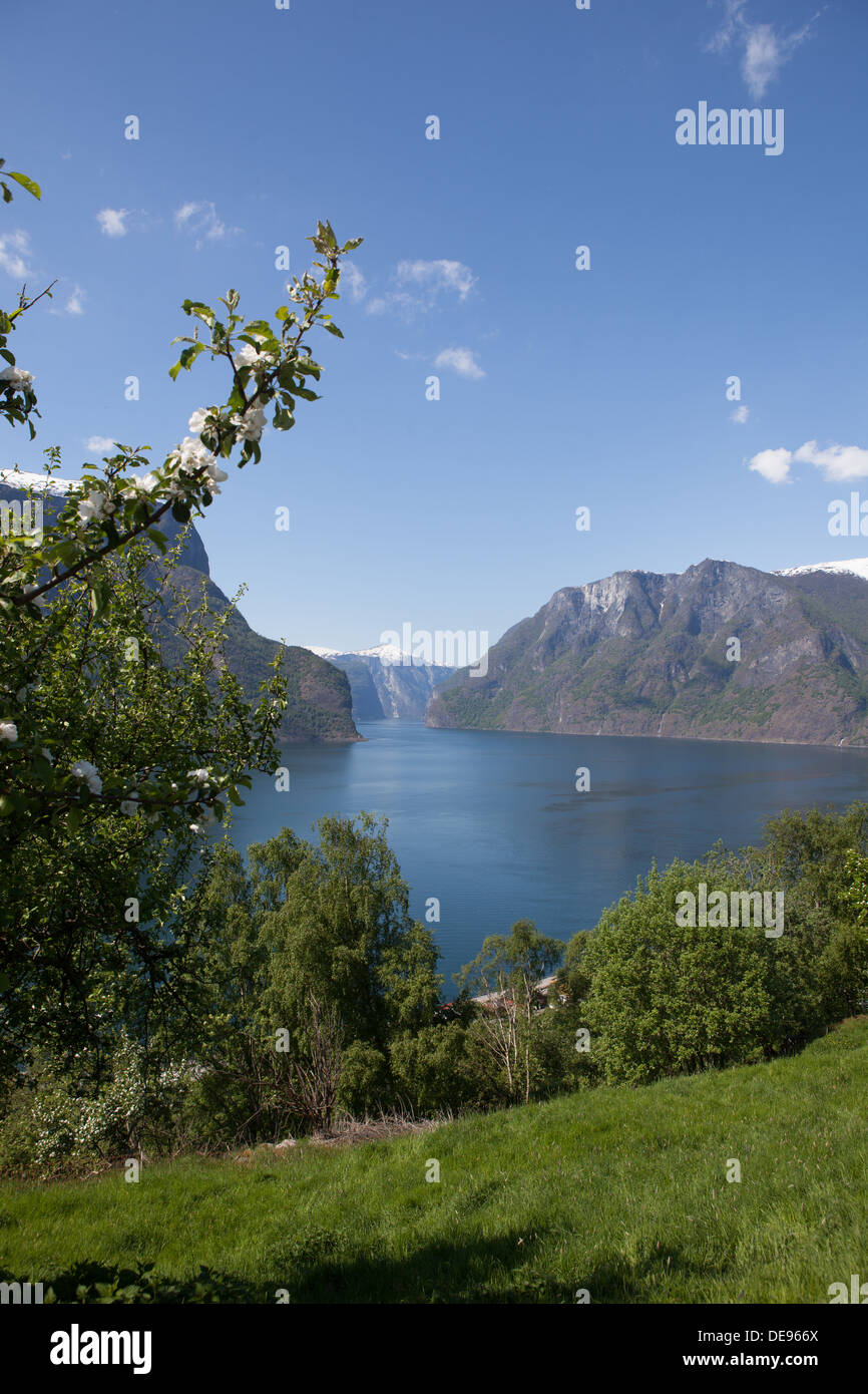 Norway fjords summer hi-res stock photography and images - Alamy