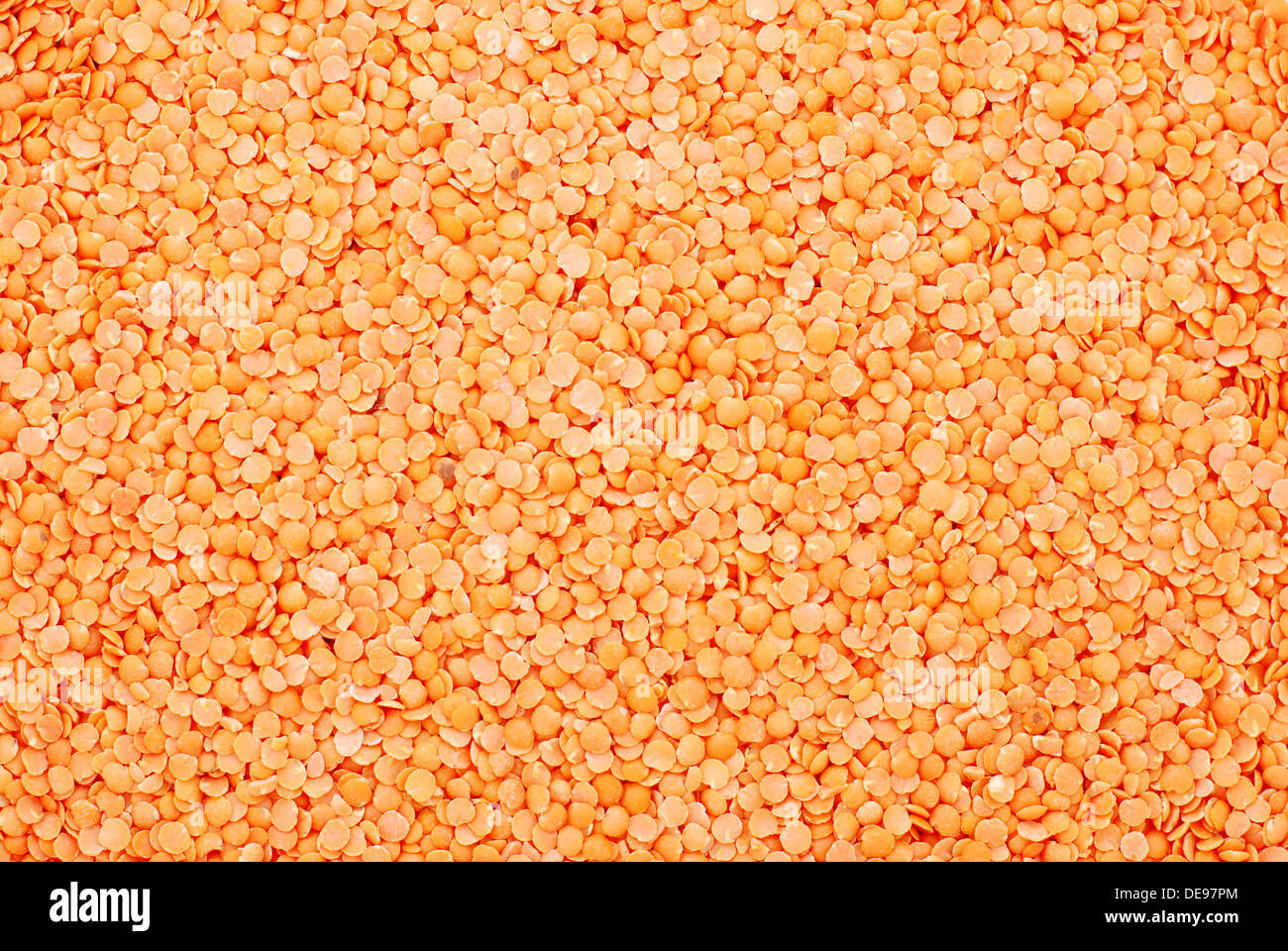 Red lentils abstract background texture Stock Photo - Alamy