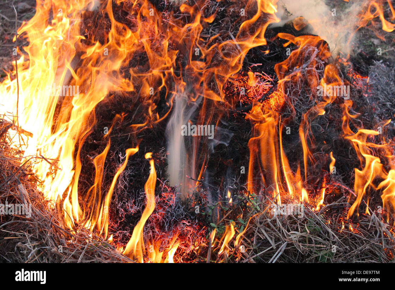 Body of flame hi-res stock photography and images - Alamy