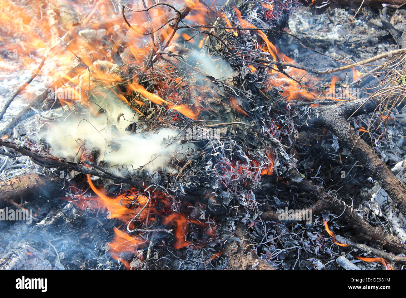 Body of flame hi-res stock photography and images - Alamy