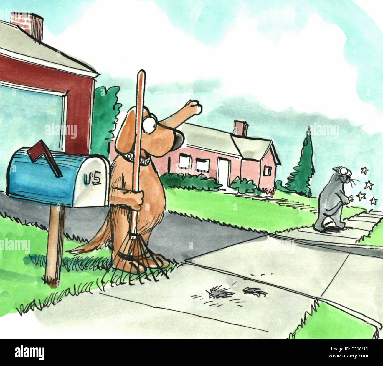 Dog is bullying cat Stock Photo - Alamy