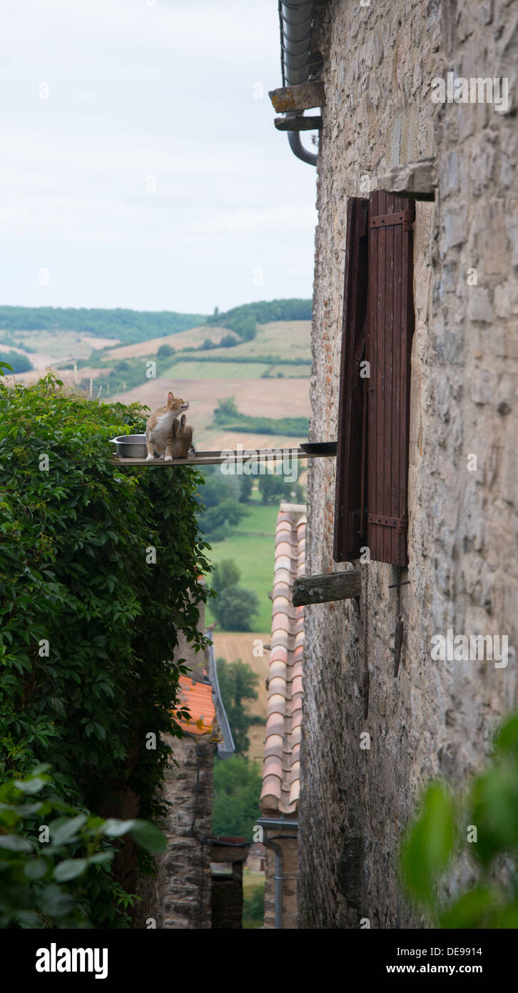 Walking the plank hi-res stock photography and images - Alamy