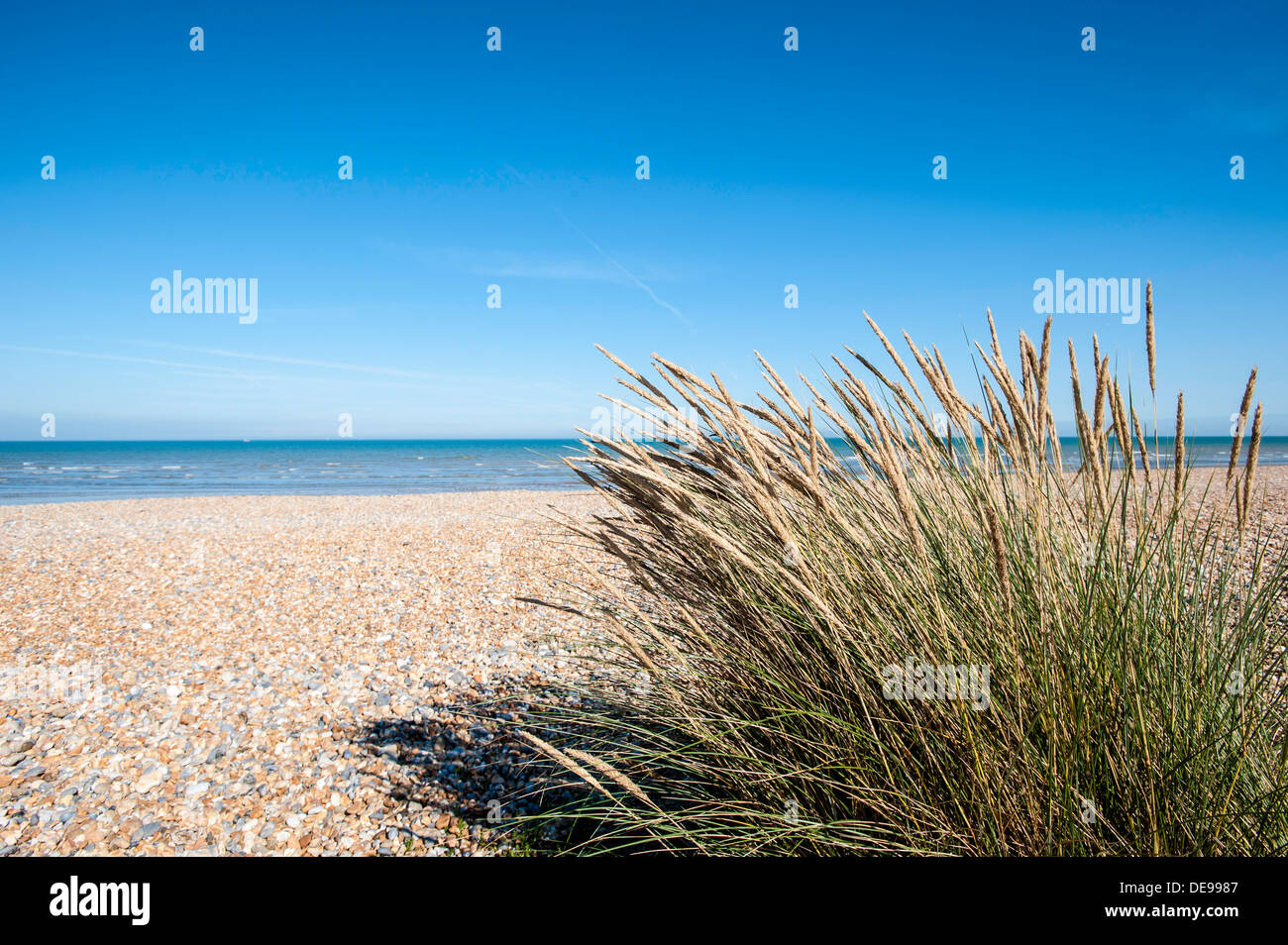 Pebble beach overlooking Sandwich Bay, Kent, United Kingdom Stock Photo ...