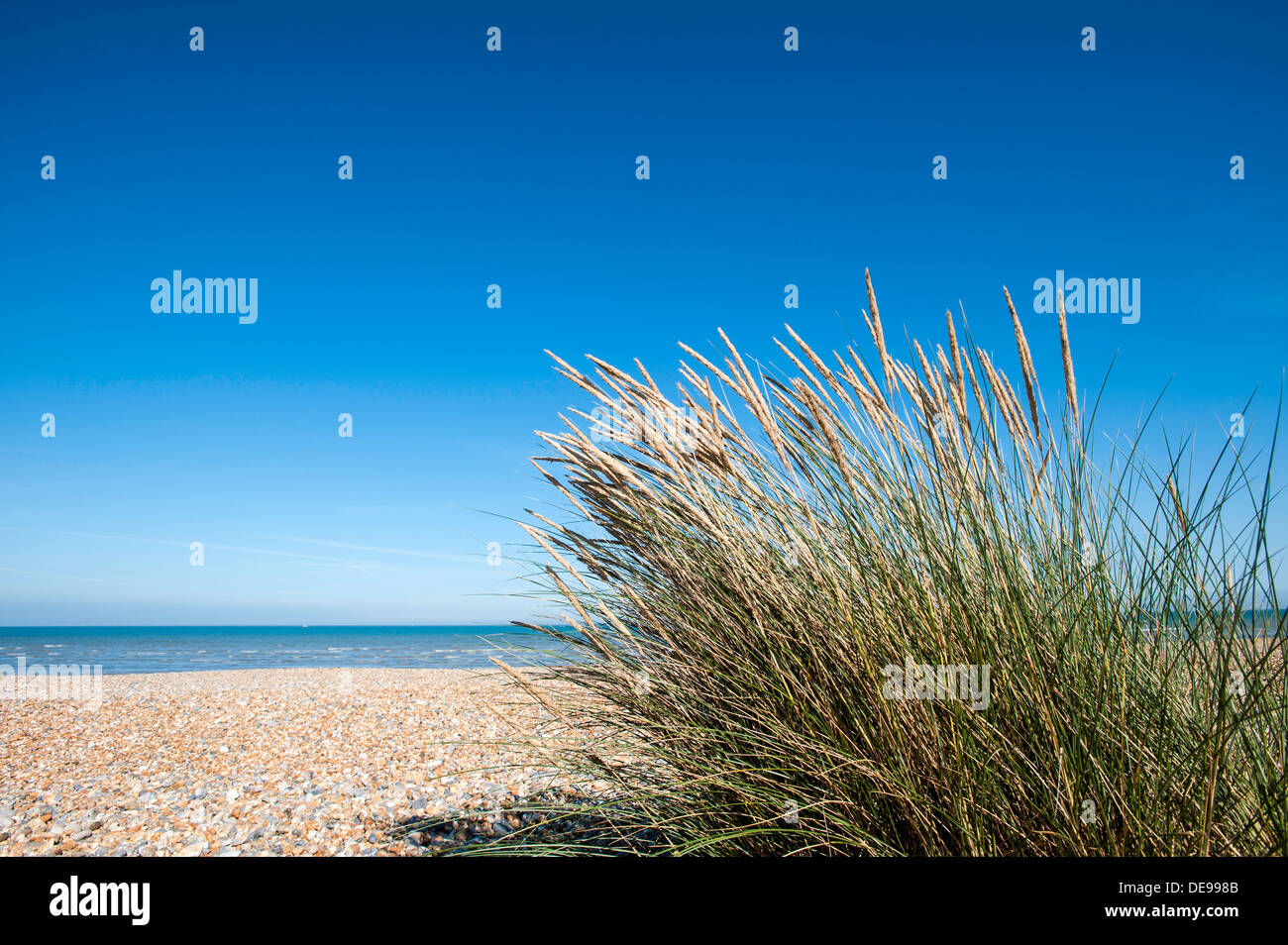 Pebble beach overlooking Sandwich Bay, Kent, United Kingdom Stock Photo ...