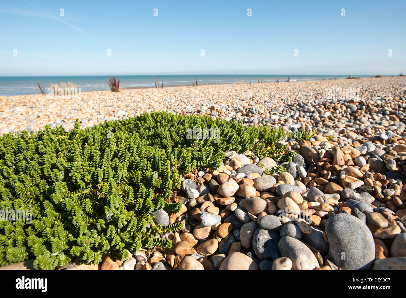 Pebble beach overlooking Sandwich Bay, Kent, United Kingdom Stock Photo ...