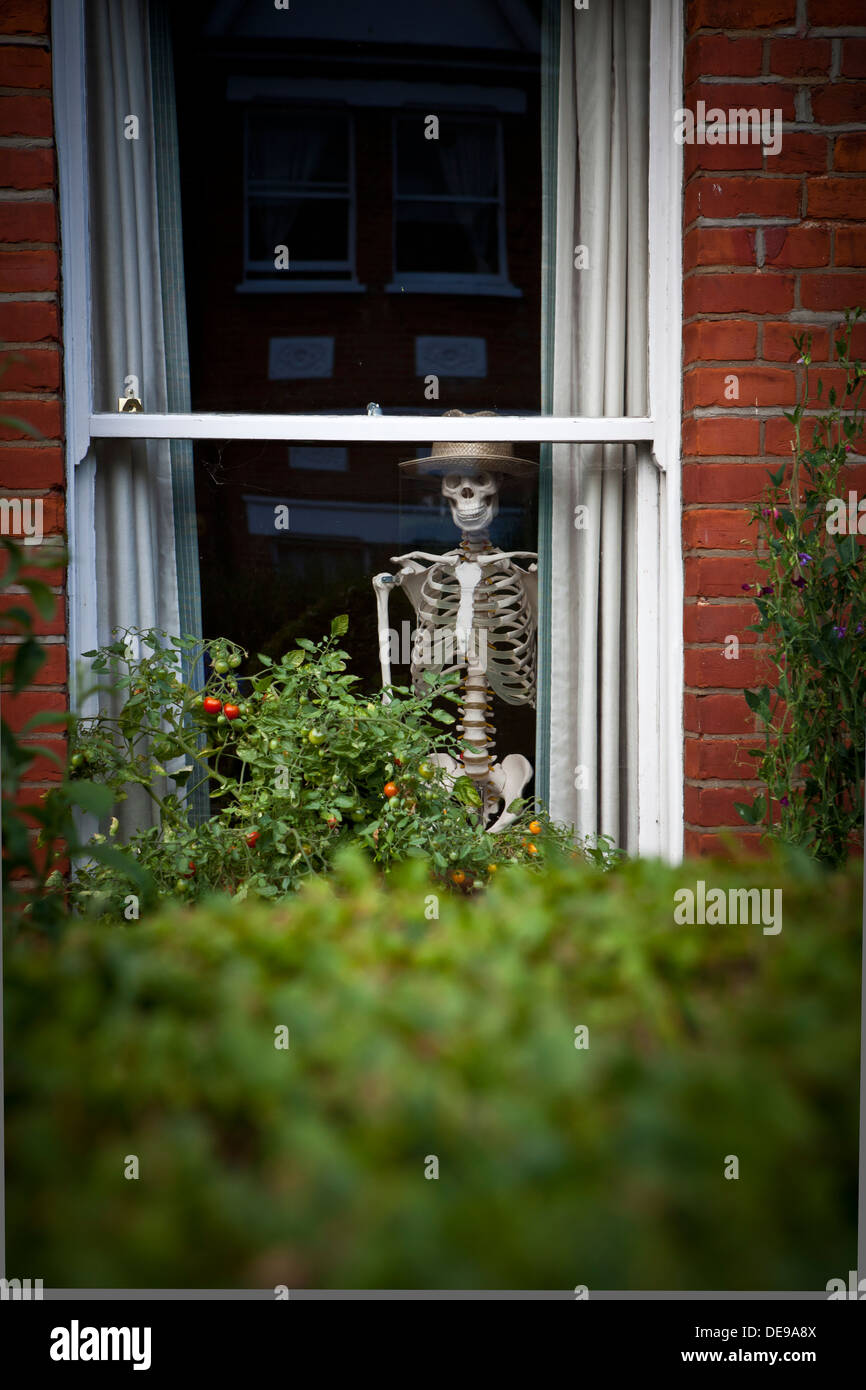 House skeleton hi-res stock photography and images - Alamy