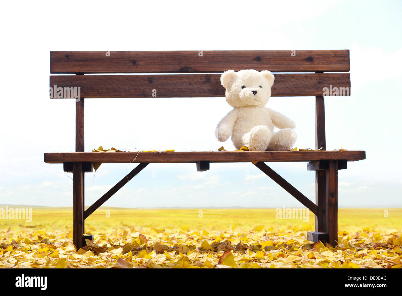 Toy bear on bench Stock Photo - Alamy