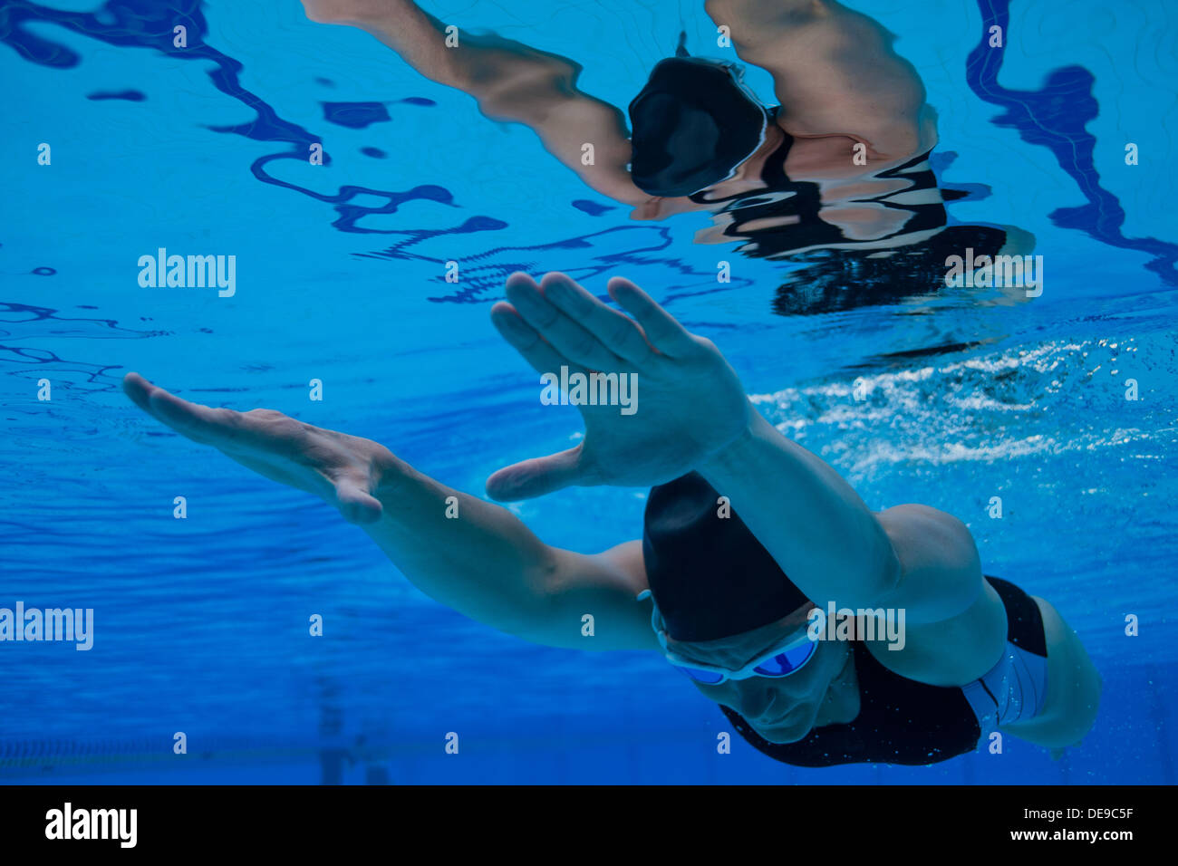 Female swimmer diving underwater in swimming pool Stock Photo - Alamy