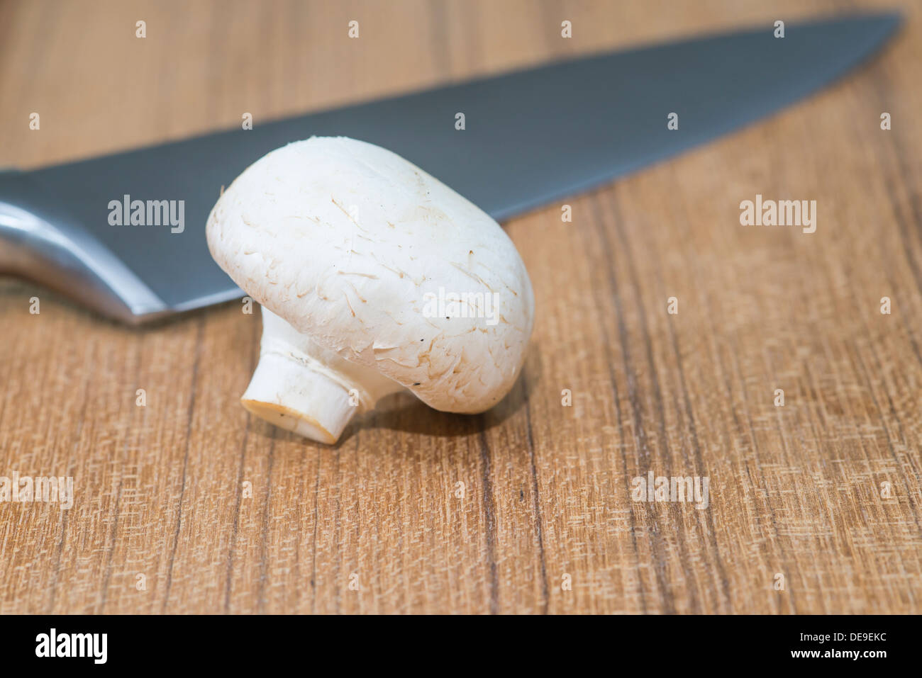 Button mushroom hi-res stock photography and images - Alamy