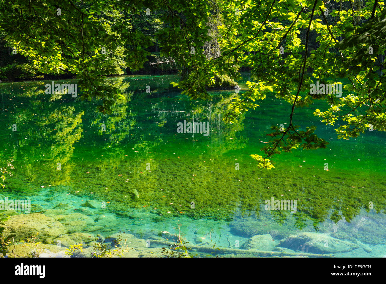 The Badersee Lake in Grainau, Garmisch-Partenkirchen, Werdenfels ...