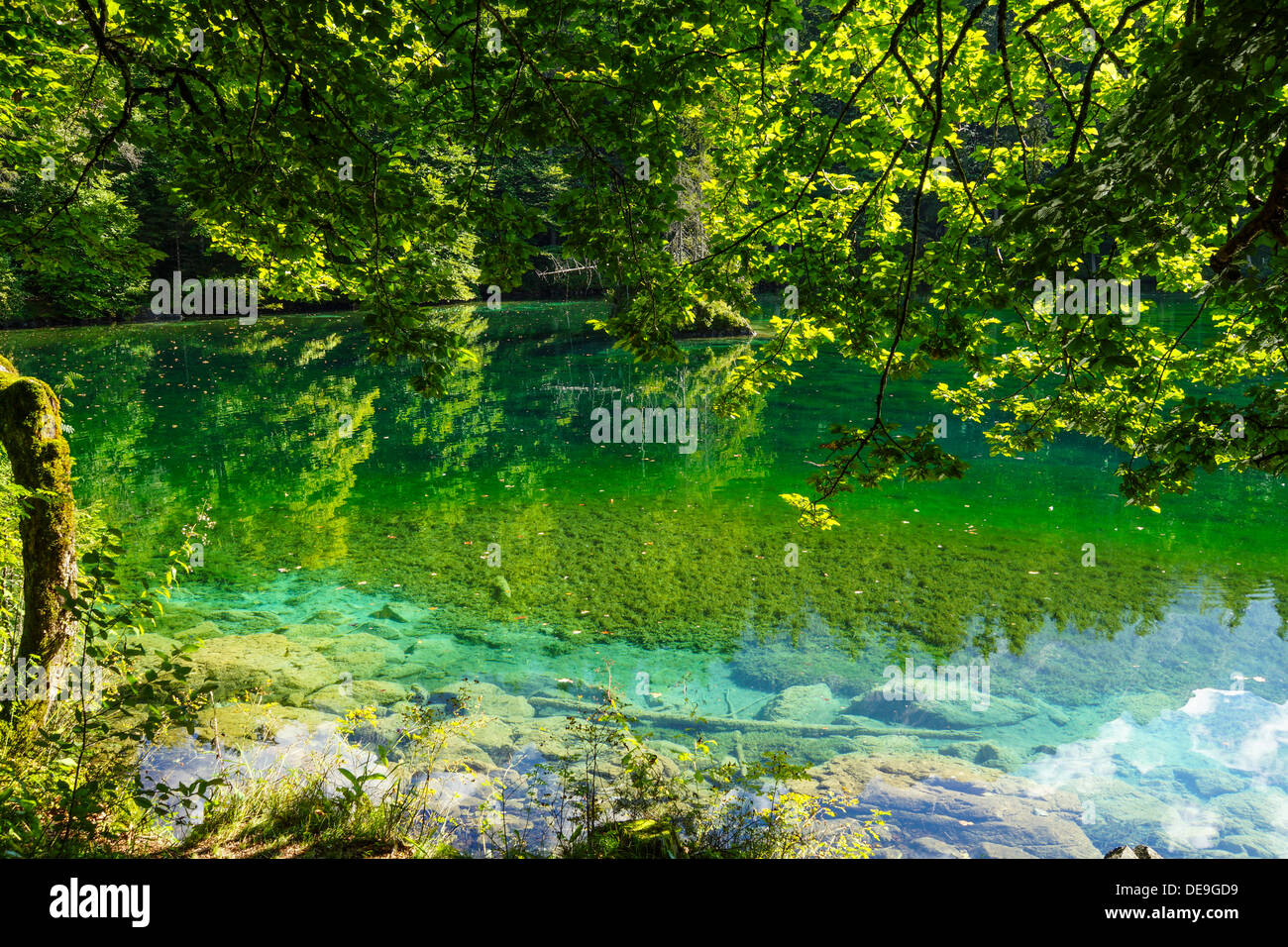 The Badersee Lake in Grainau, Garmisch-Partenkirchen, Werdenfels ...