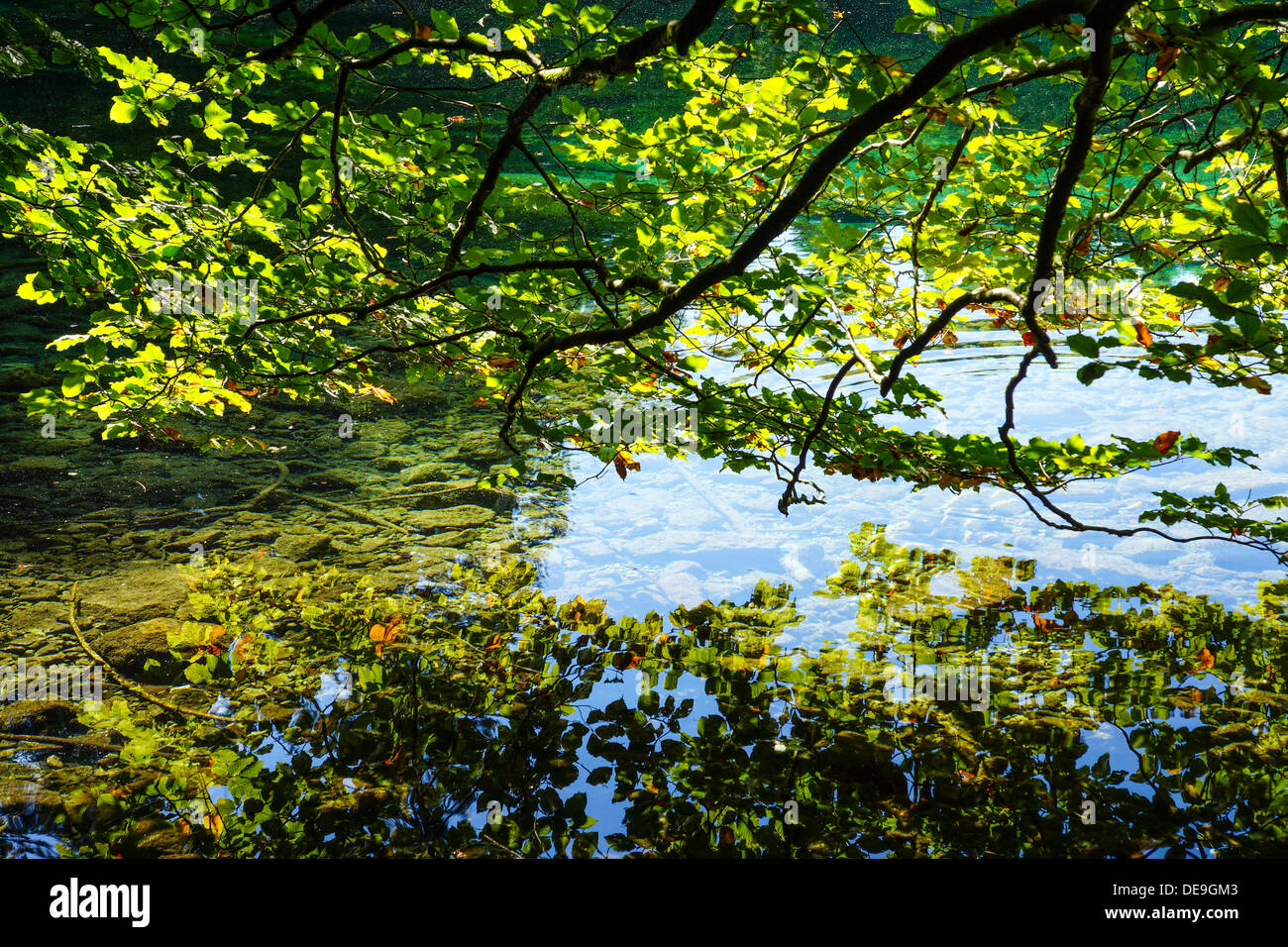 The Badersee Lake in Grainau, Garmisch-Partenkirchen, Werdenfels ...
