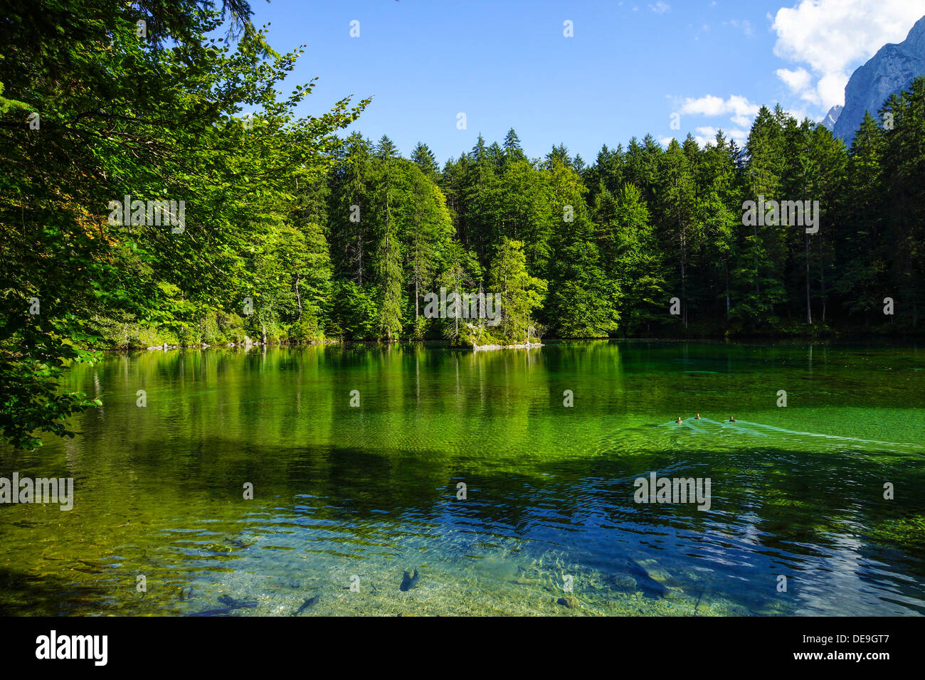The Badersee Lake in Grainau, Garmisch-Partenkirchen, Werdenfels ...