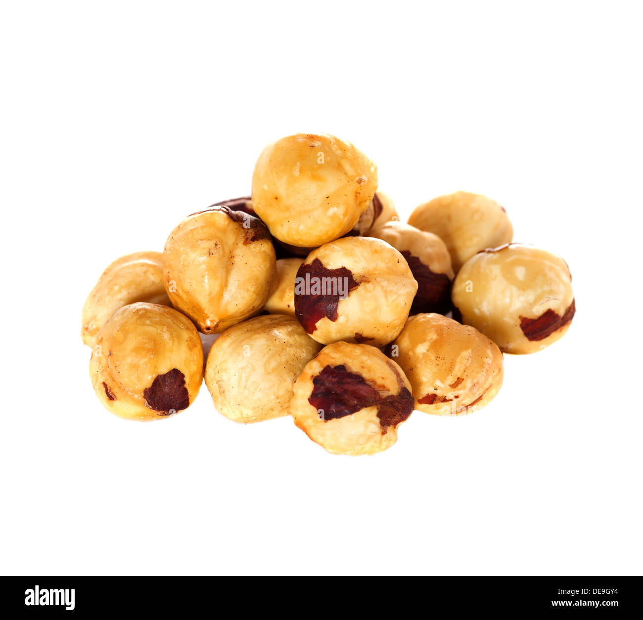 Hazelnuts, filbert, isolated on the white background Stock Photo - Alamy