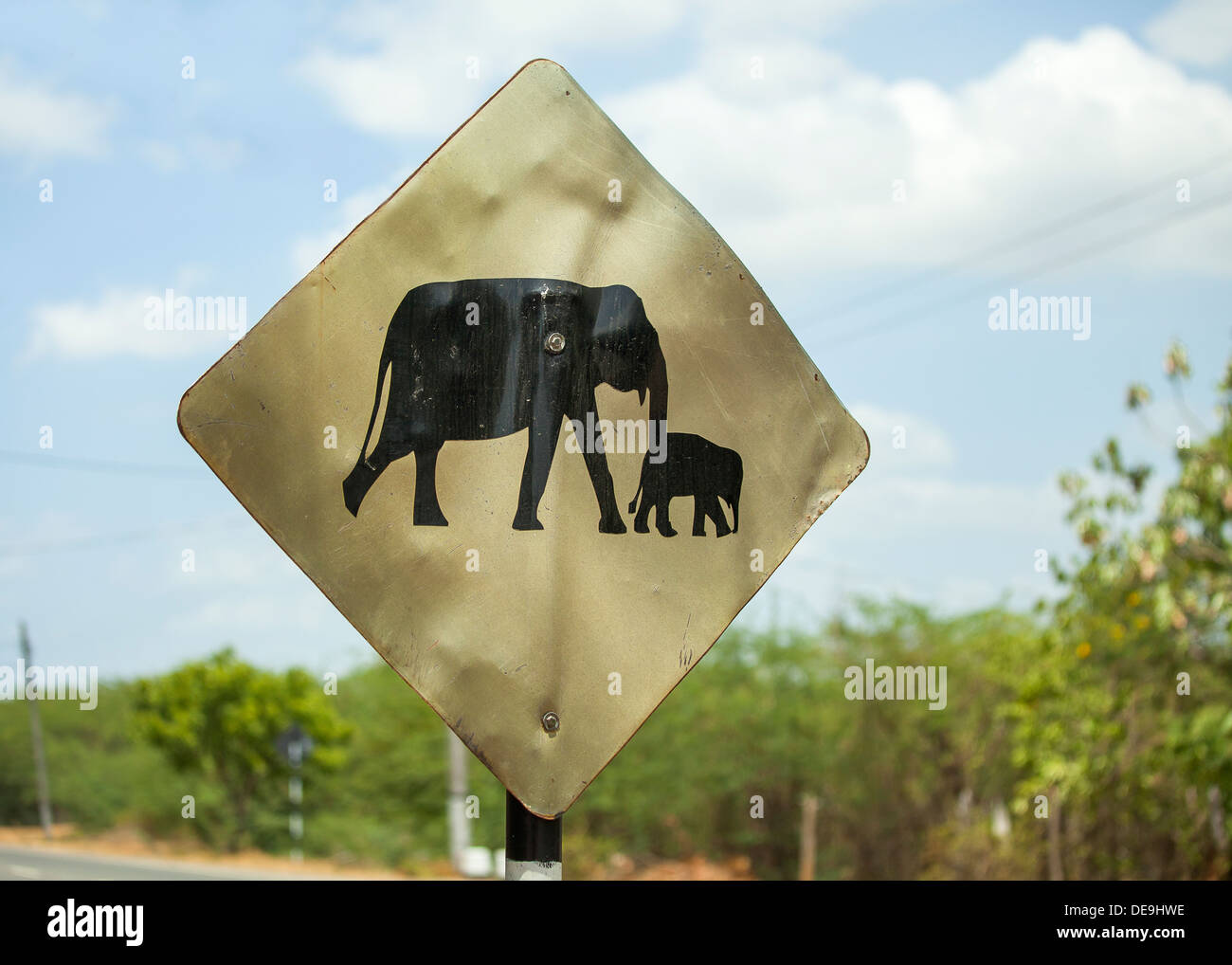 Elephant warning sign on the road in Sri Lanka Stock Photo - Alamy