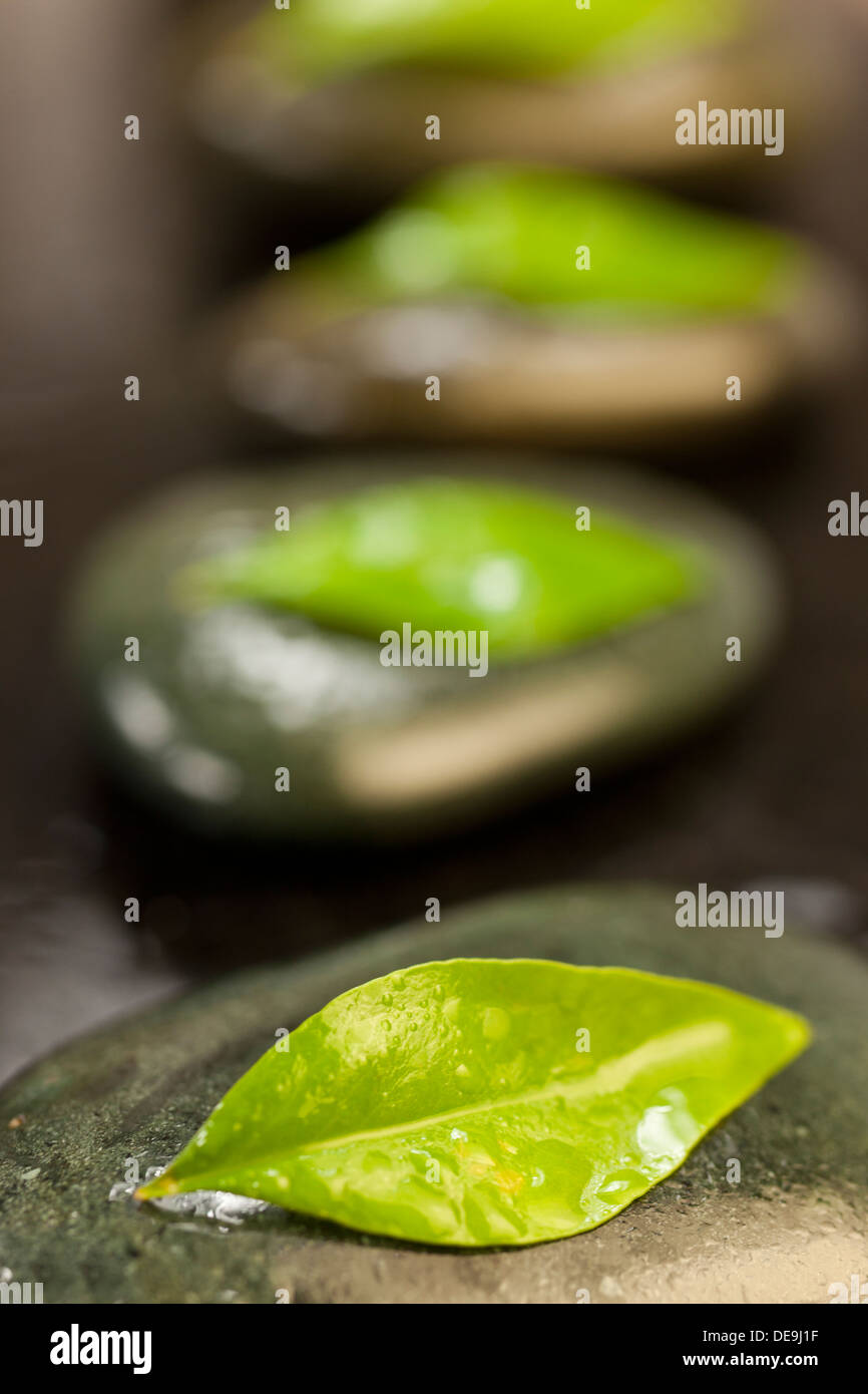 Spa massage hot stones and green leaves Stock Photo - Alamy